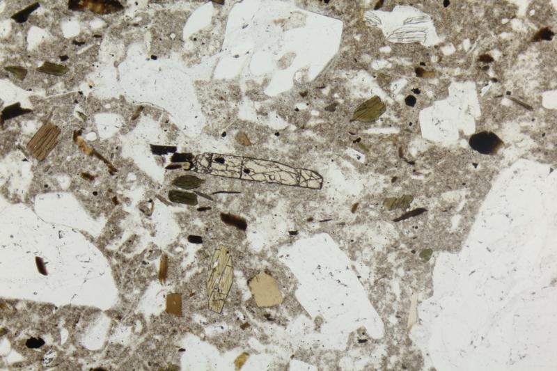 Titanite Twinning Thin Section